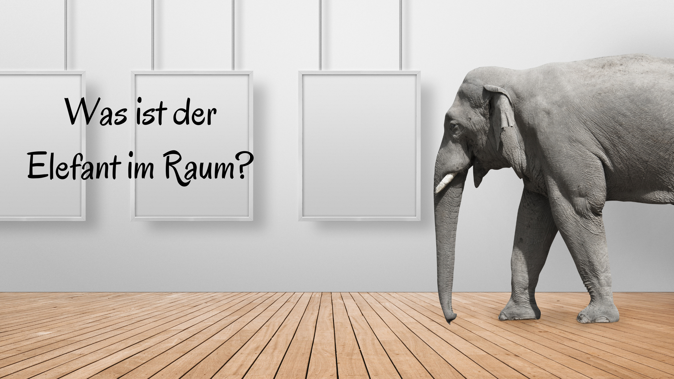 Was ist der Elefant im Raum? - Anette Schade
